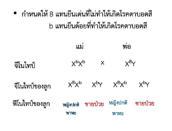 Biology By Savit เฉลยคำถามท้ายบทที่ 15 การถ่ายทอดทางพันธุกรรม